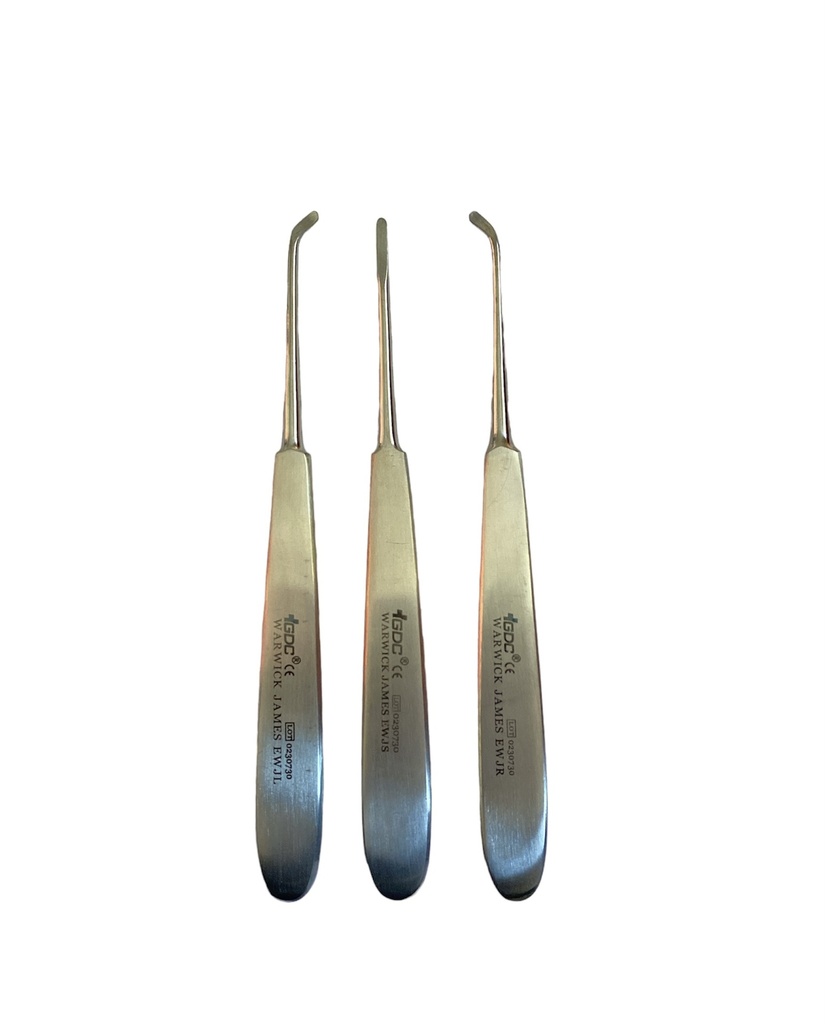 Buy Warwick James Elevator – Precision Dental Extraction Tool