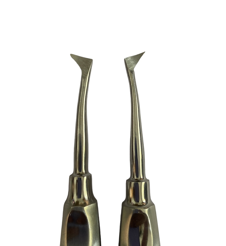Cryer Elevator | Precision Dental Extraction Instrument